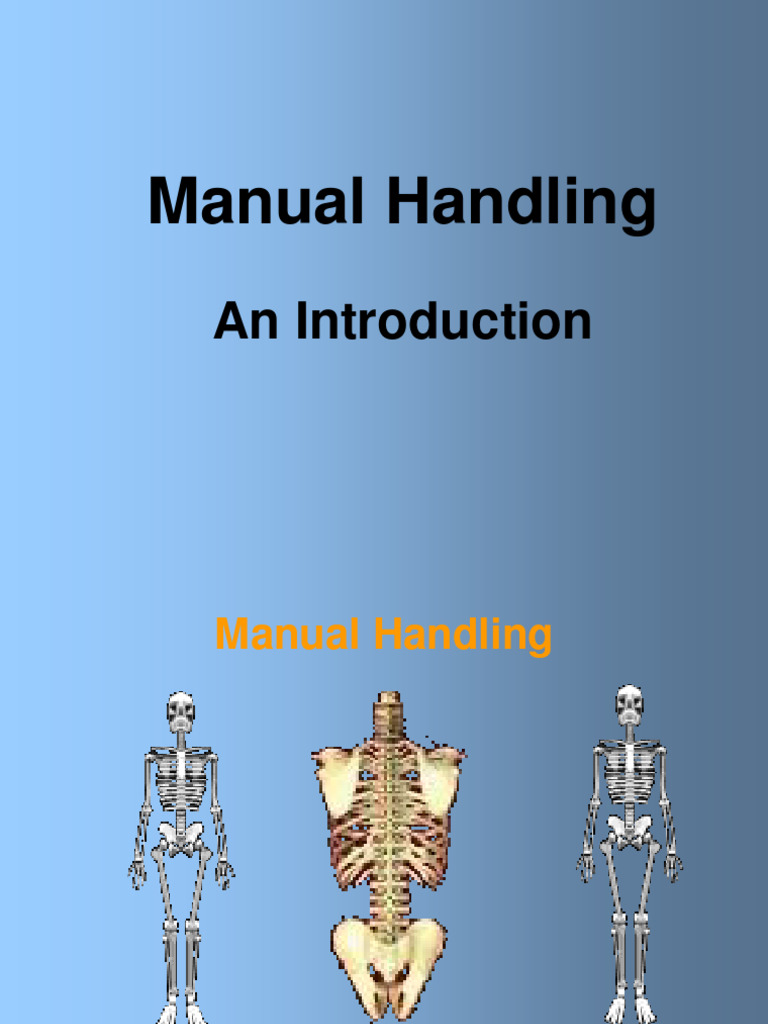 Manual Handling | PDF | Vertebral Column | Nerve