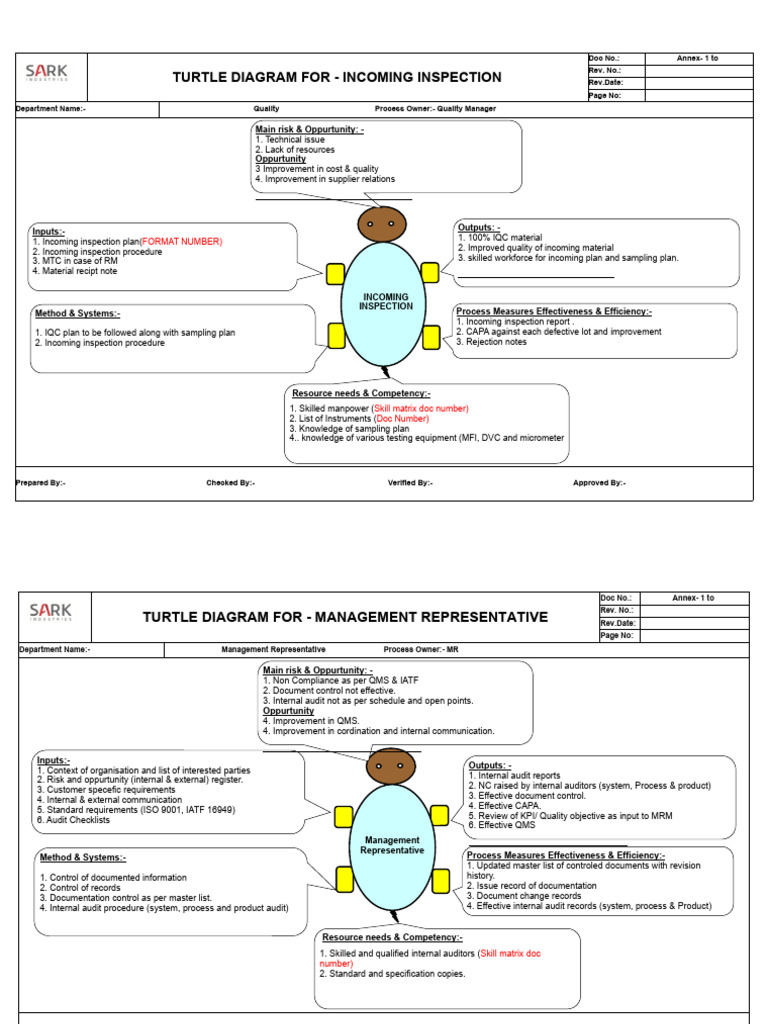 Turtle Diagram | PDF