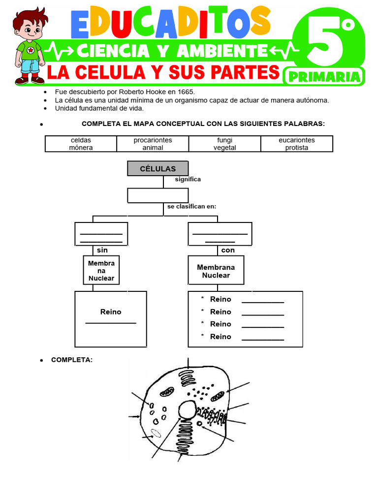 La Celula y Sus Partes para Quinto Grado de Primaria | PDF | Citoplasma ...