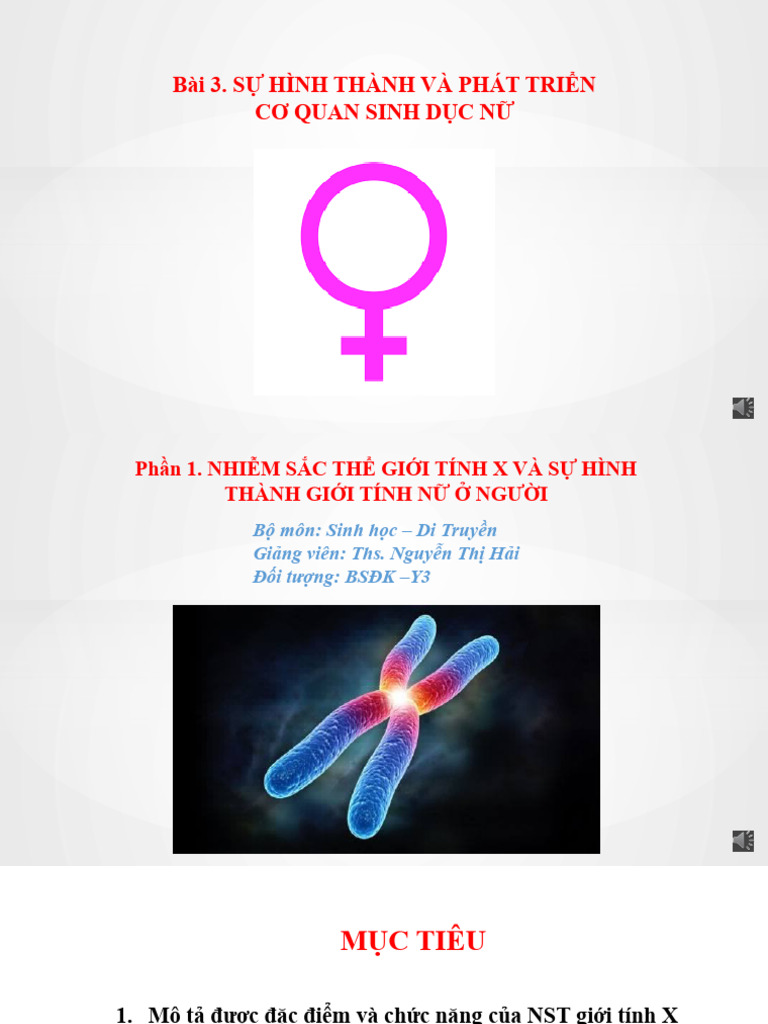 Bai Giang NST X | PDF