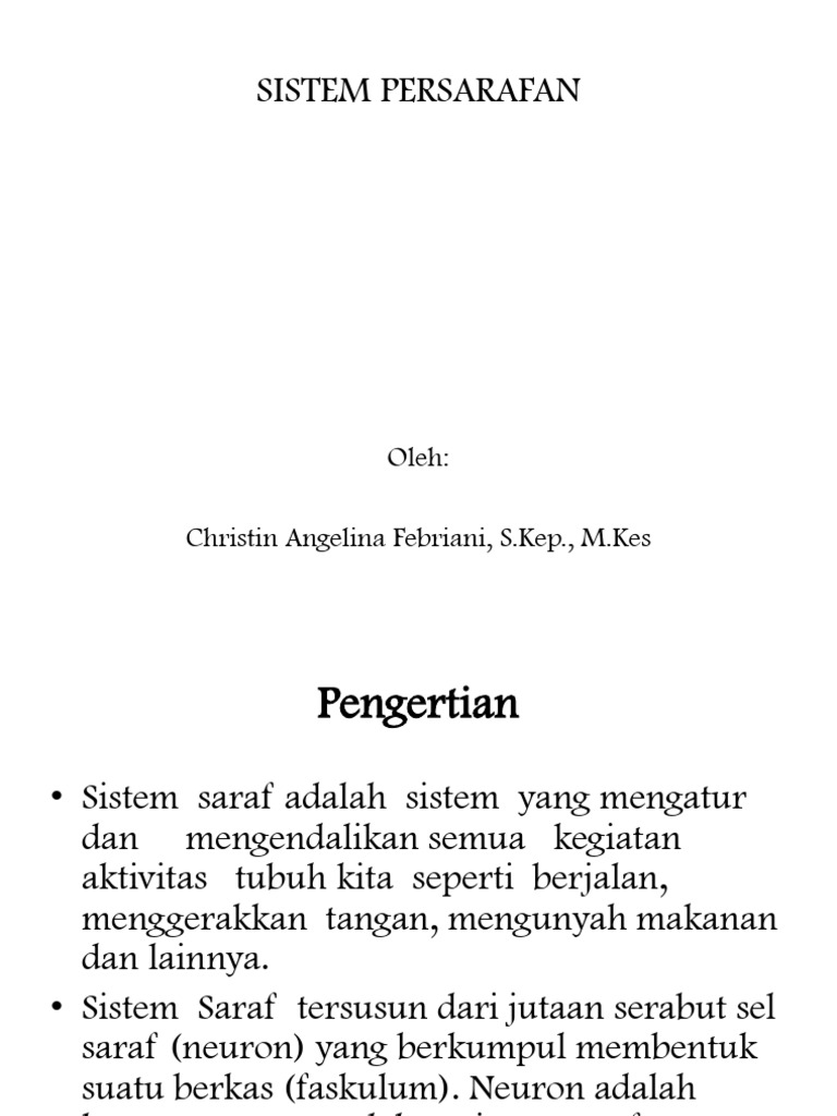 Anatomi Persarafan | PDF