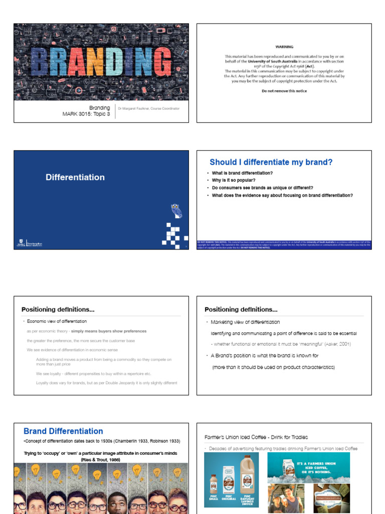Brand Differentiation | PDF | Brand | Business Economics