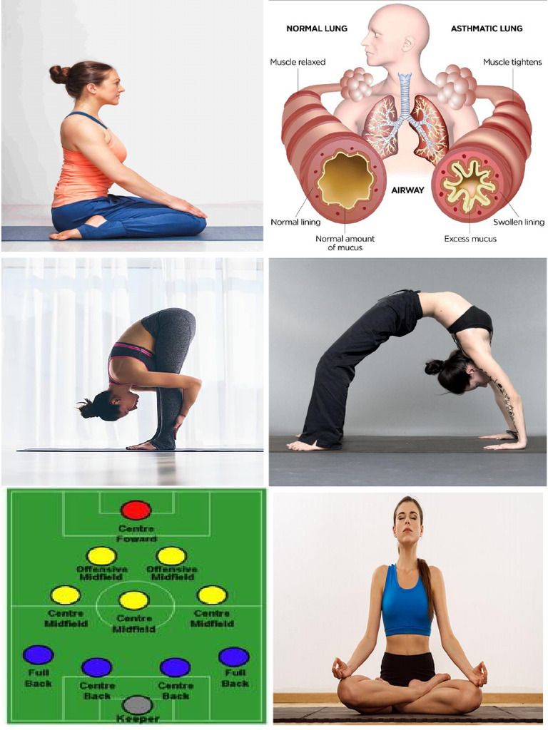 Project On Ped | PDF