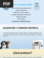 Reflejos Bainbridge 1 | PDF | Corazón | Nervio vago