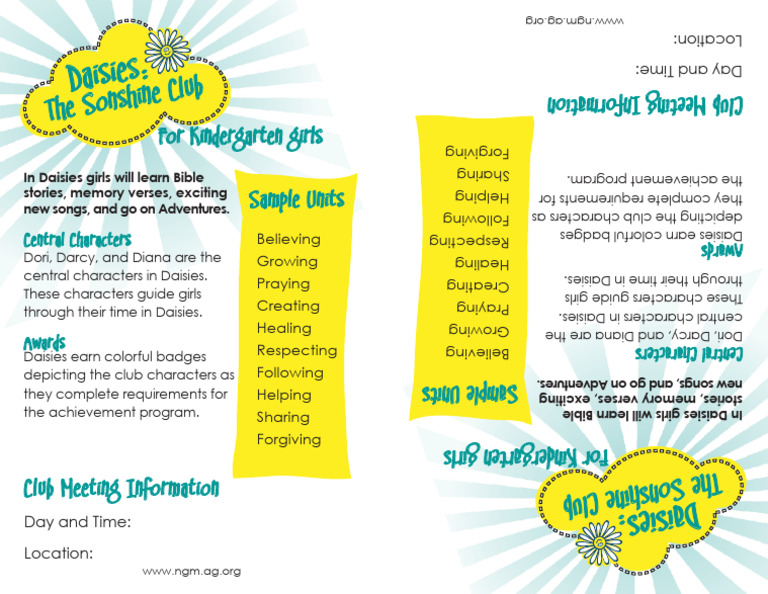 Daisies Promotional Flyer | PDF