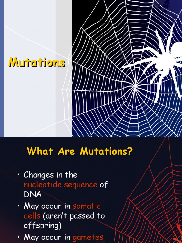 Mutations Power Point | Download Free PDF | Mutation | Genetic Code