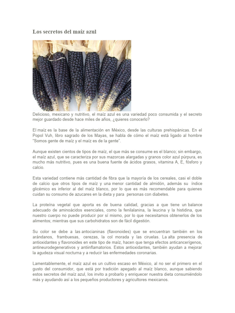 Beneficios y origen del maíz azul | PDF