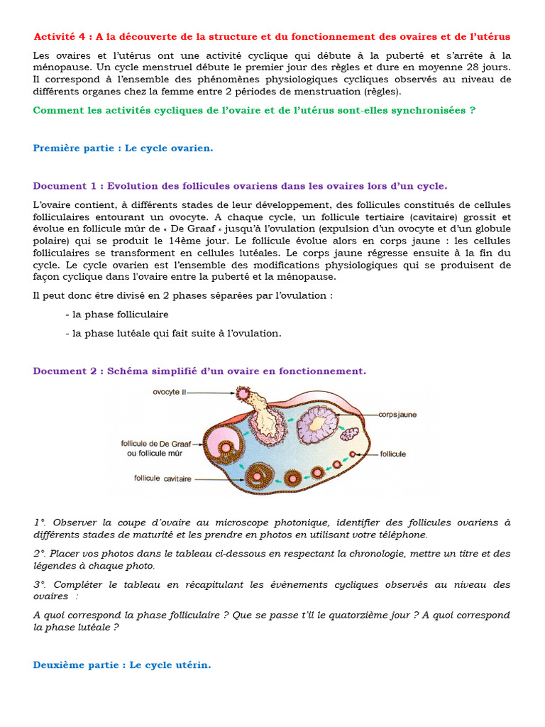 Schéma du cycle ovarien et utérin | PDF | Cycle menstruel | Progestérone
