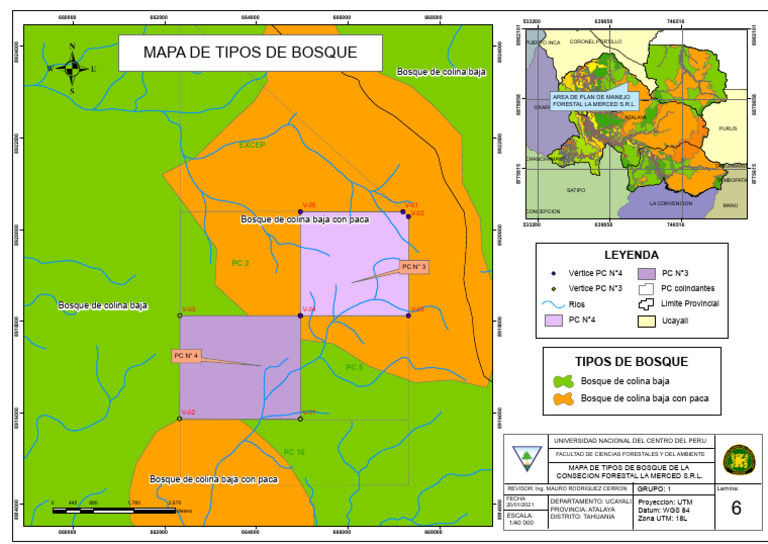 Mapa de Tipos de Bosque | PDF