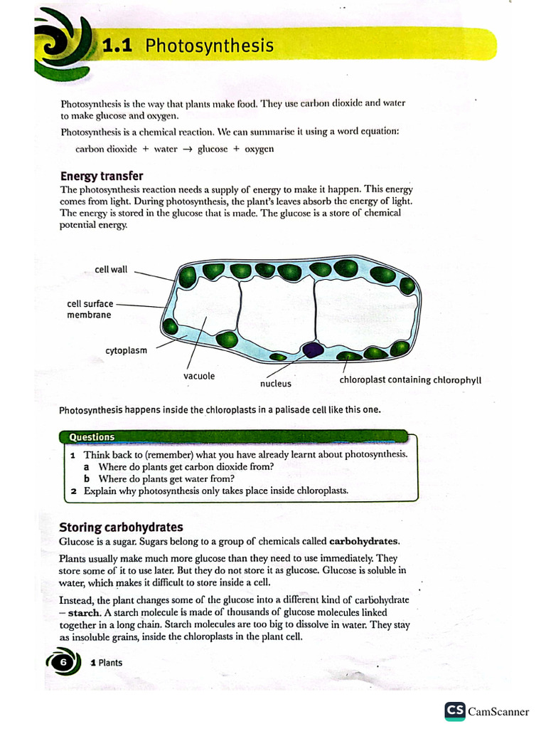Cambridge Checkpoint Science (Biology) 9 | PDF