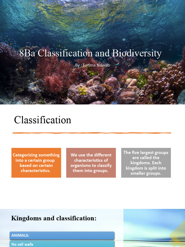 Classification and Importance of Biodiversity | PDF
