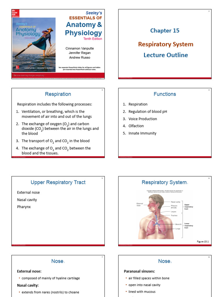 Ch15 Lecture PPT A | PDF | Respiratory Tract | Lung