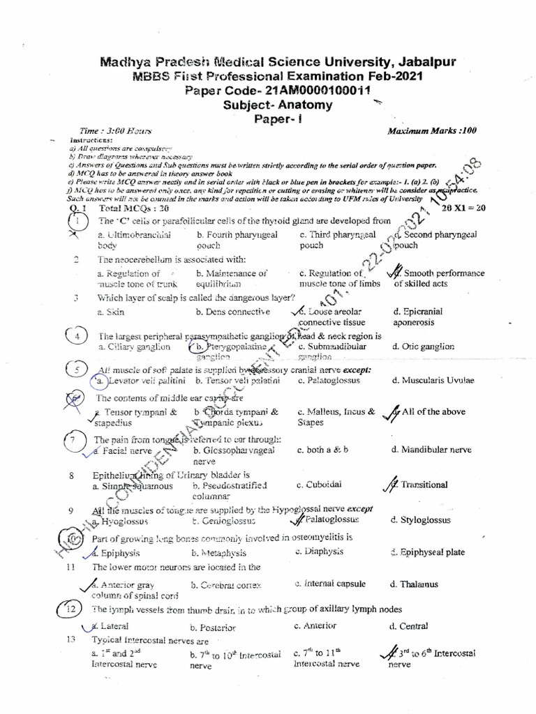 First year papers | PDF