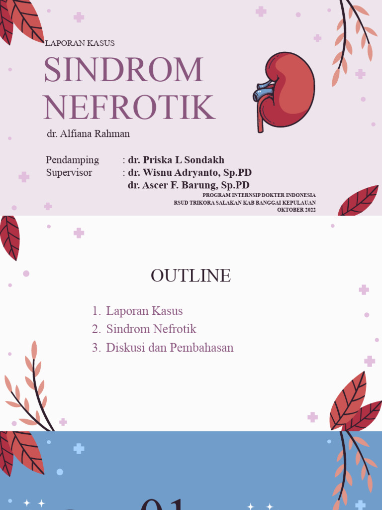 Laporan Kasus - Fiaa - Sindrom Nefrotik | PDF