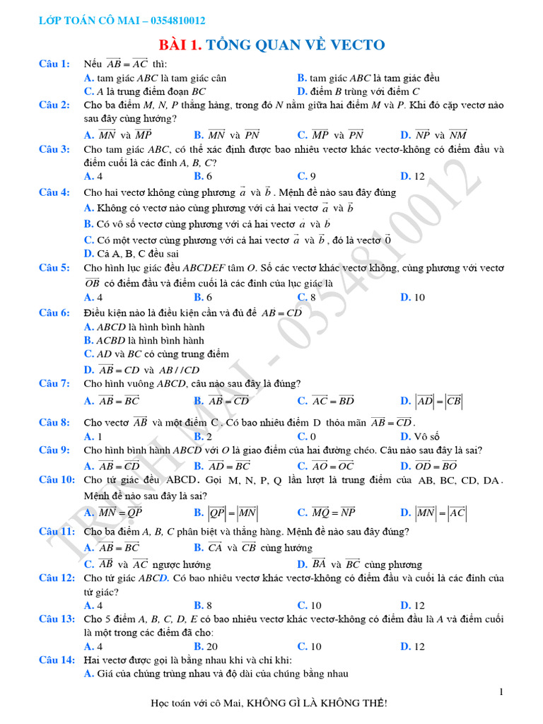 T10 - C2 - B1. TN - Tổng Quan Về Vecto | PDF