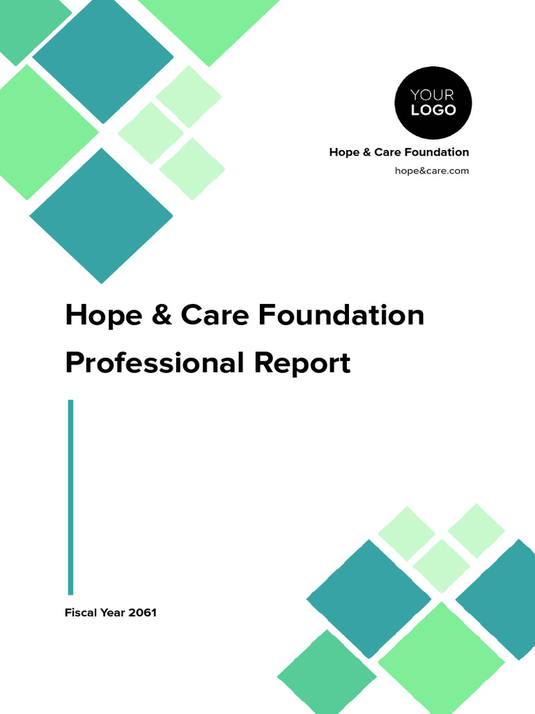 Professional Report | PDF | Fundraising | Investing