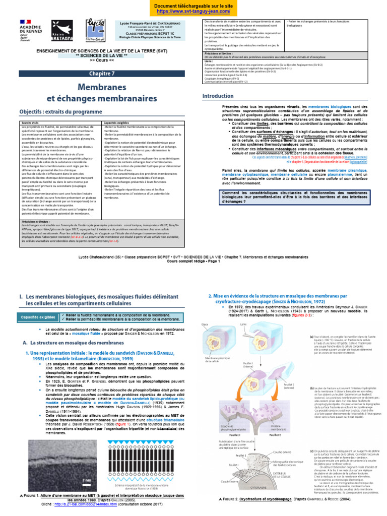 Membranes: Fluidité et Échanges Cellulaires | PDF