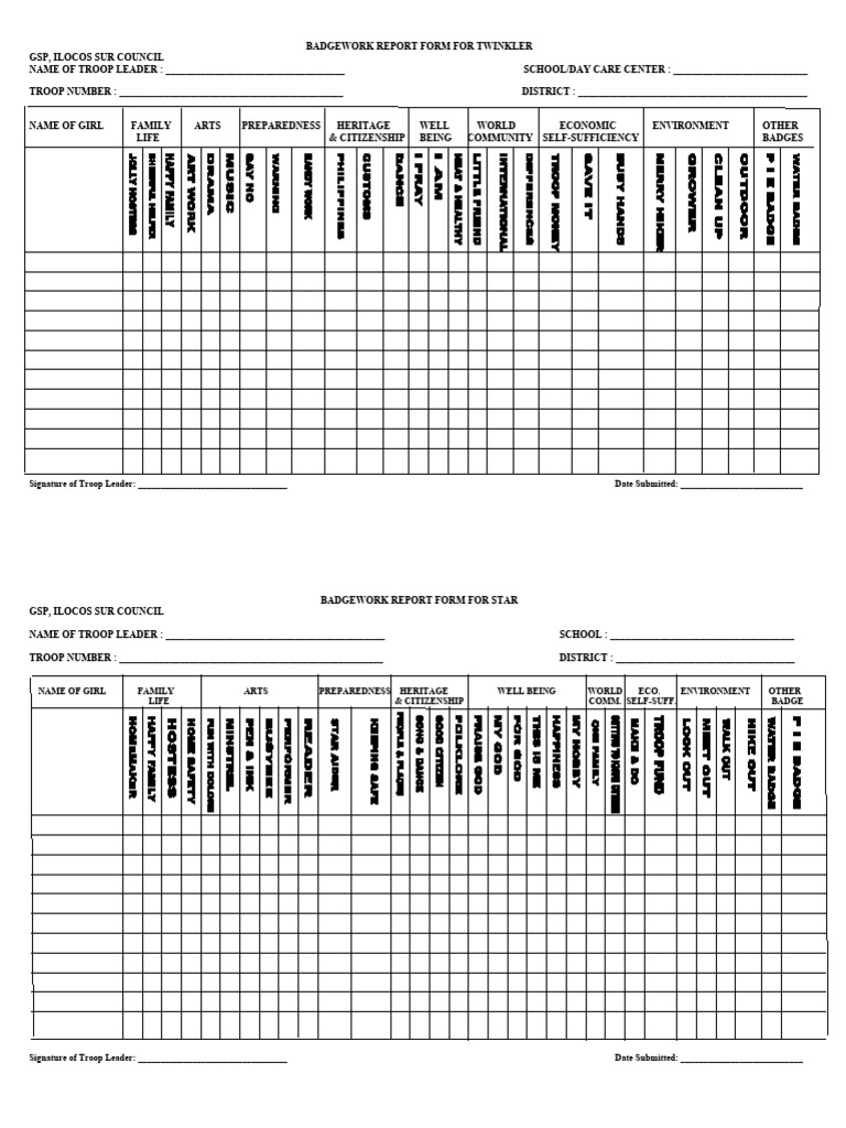 Badgework Report Form Twinkler Star | PDF