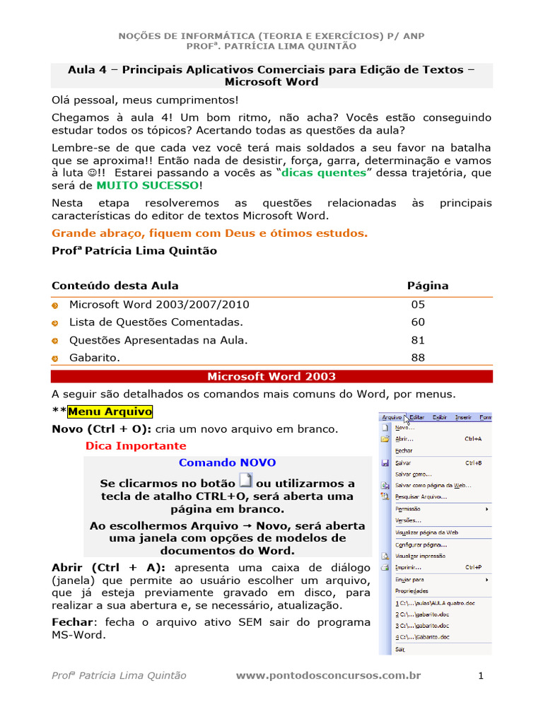 Aula 04 - Informática | PDF