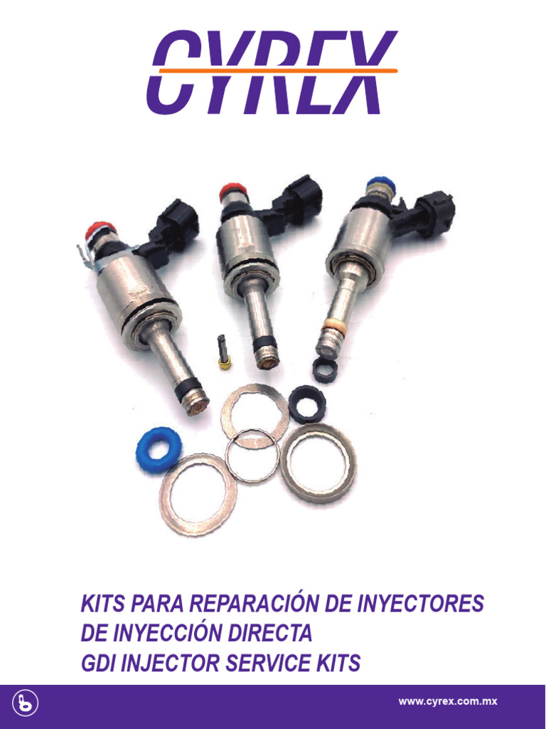 Kits de Reparación para Inyectores GDI | PDF | Finanzas y dinero ...