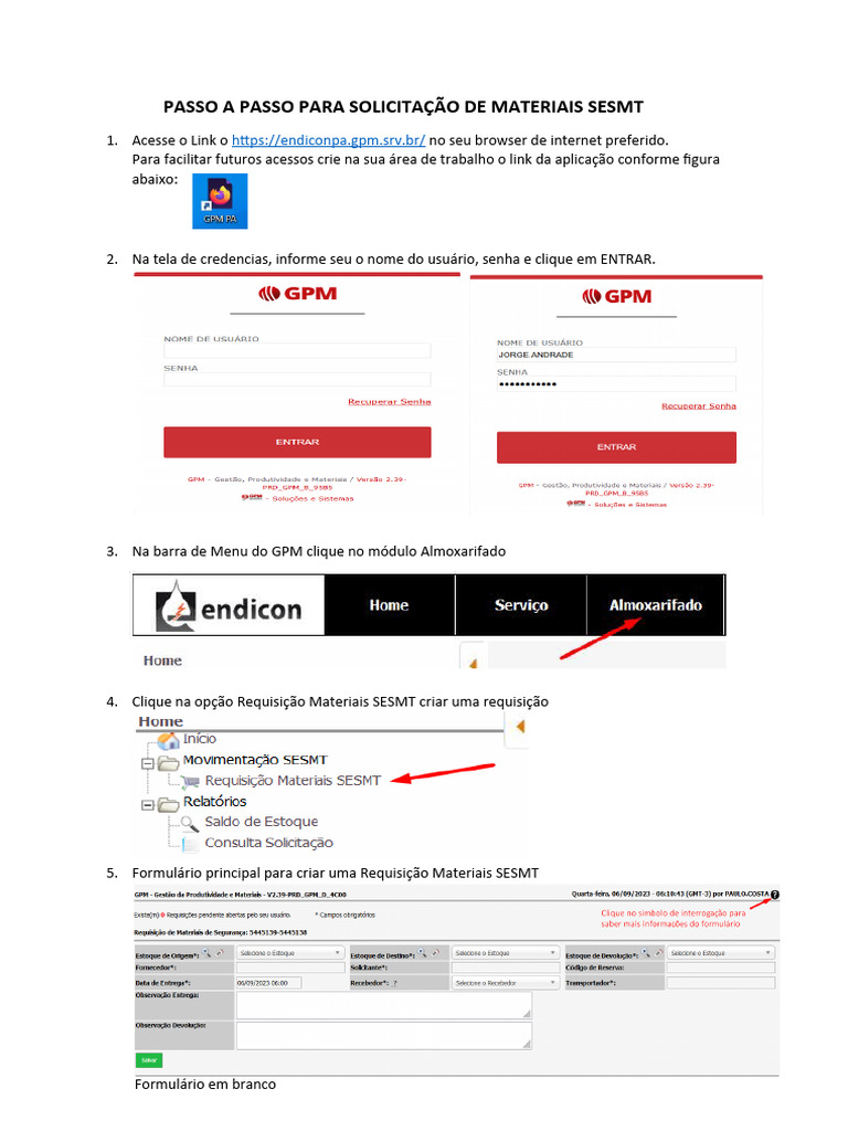 Passo A Passo para Acessar GPM | PDF