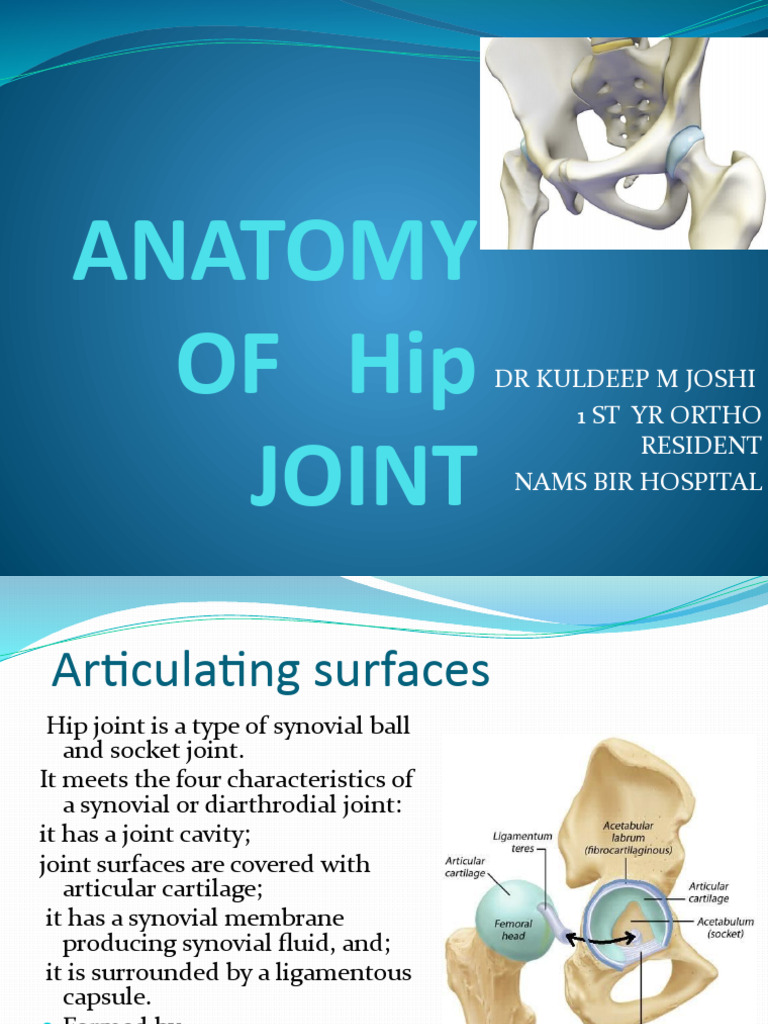 Anatomy of Hip Joint | PDF | Foreign Language Studies | Science ...