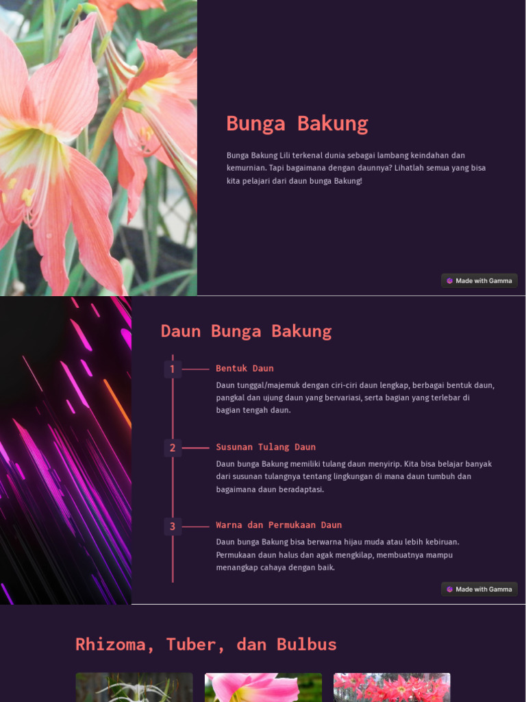 Bunga Bakung | PDF | Griya & Taman | Sains & Matematika