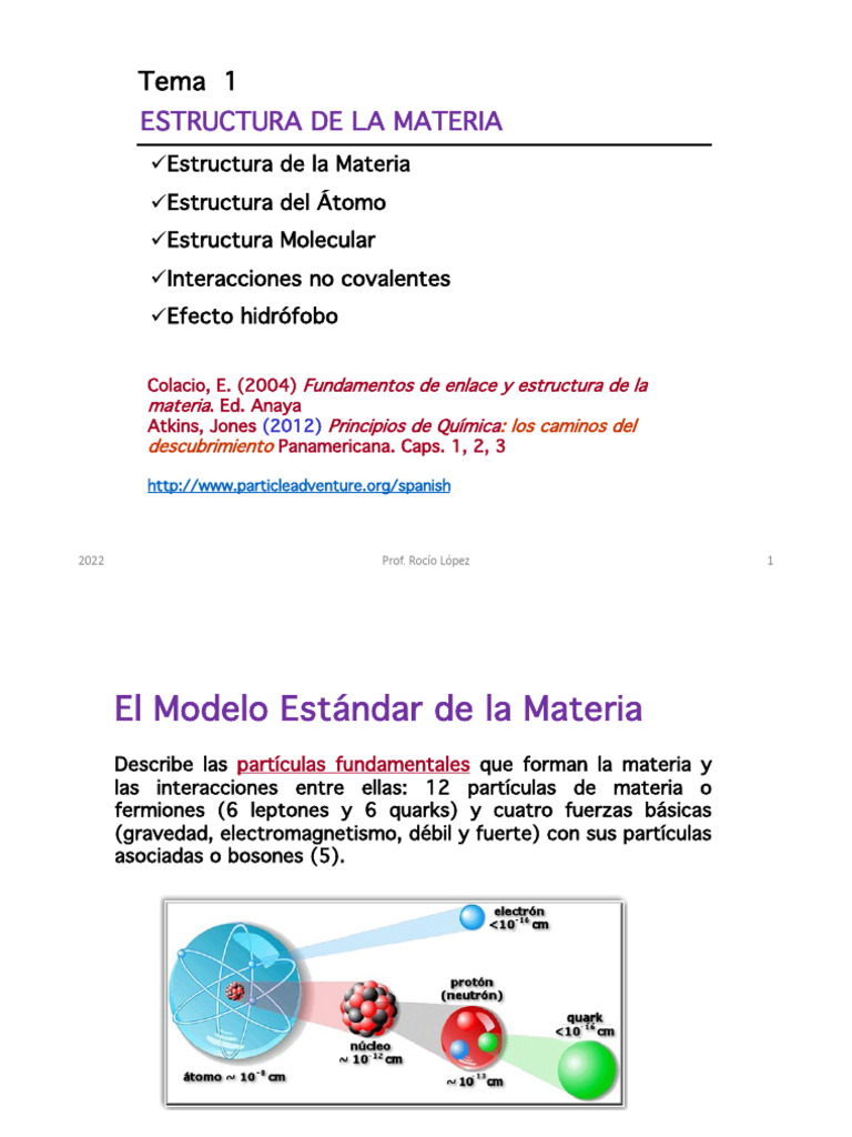 Tema 1.estructura de La Materia | PDF | Partículas fisicas | Cuarc