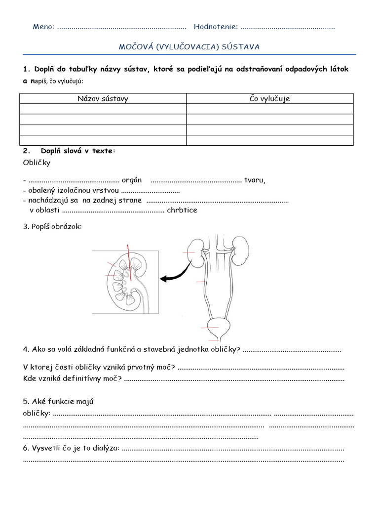 Vylucovacia Sustava - Pisomka | PDF