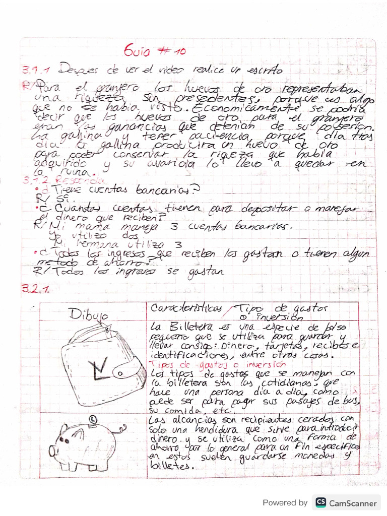 Guia 10 Gestion Contable y de Informacion Financiera | PDF