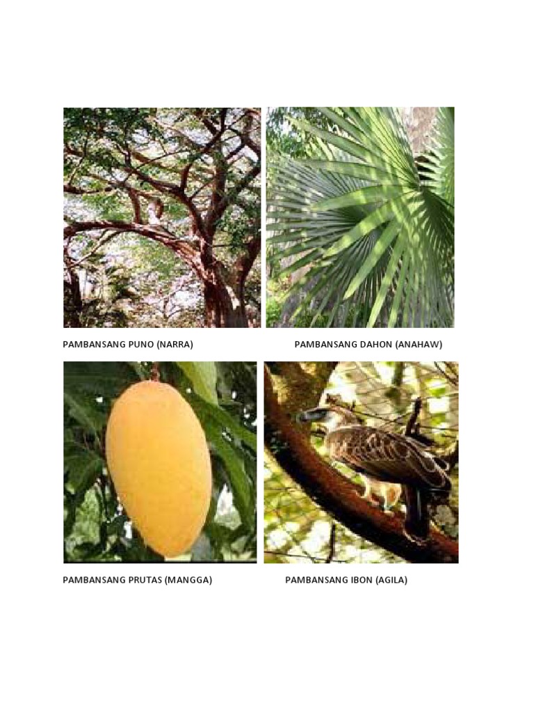 Pambansang Puno | PDF