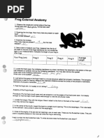 Frog Digestive System Dissection Guide | PDF | Gastrointestinal Tract ...