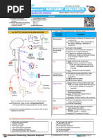 AKPS Kujala Score | PDF | Knee | Medical Specialties