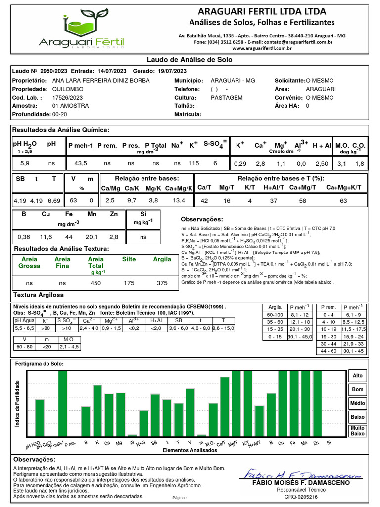 Análise de Solo - Ana Lara Ferreira Diniz Borba - Quilombo | PDF