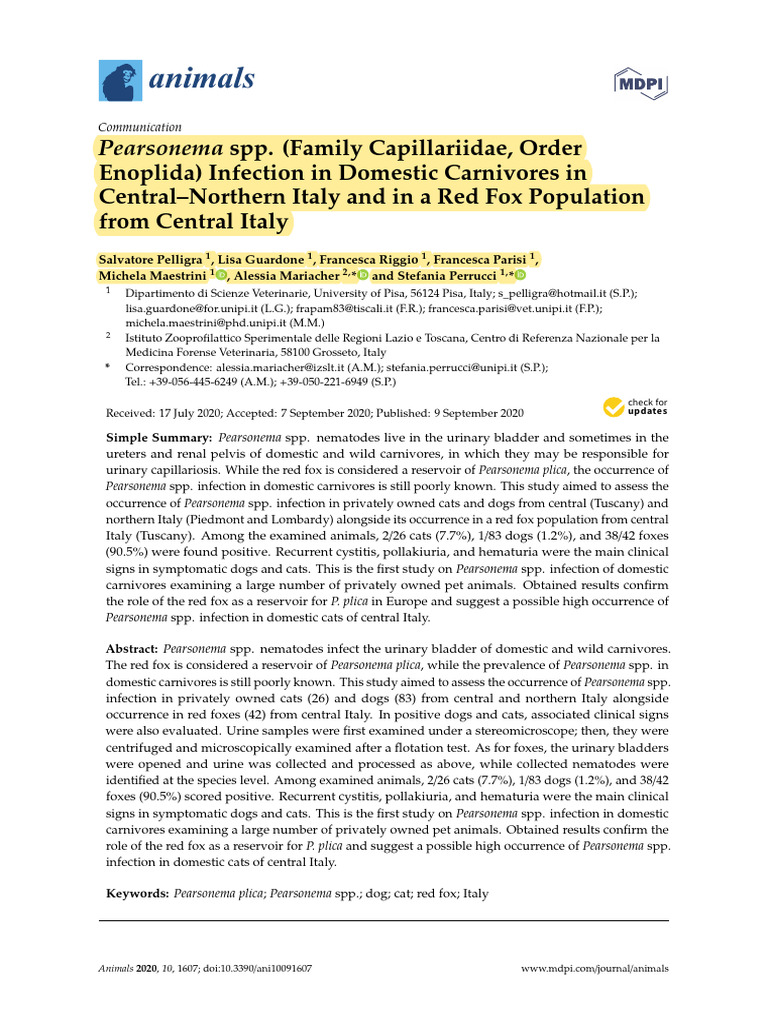 Gambar P. Plica | PDF