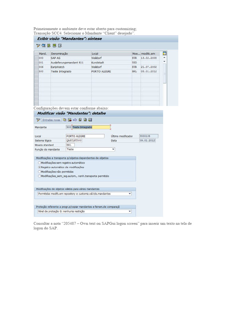 Abrir Ambiente para Customizing - scc4 e Se06 | PDF