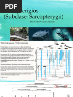 Características de los Sarcopterigios | PDF | Pescado | Vertebrados ...