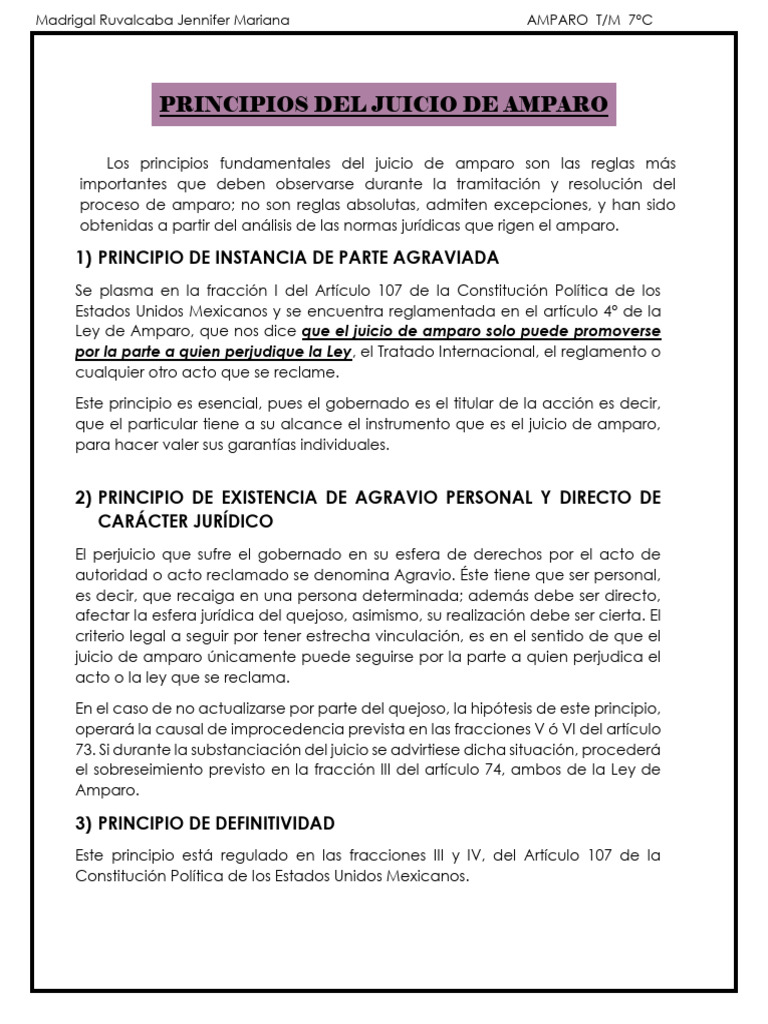 PRINCIPIOS DEL JUICIO DE AMPARO | PDF