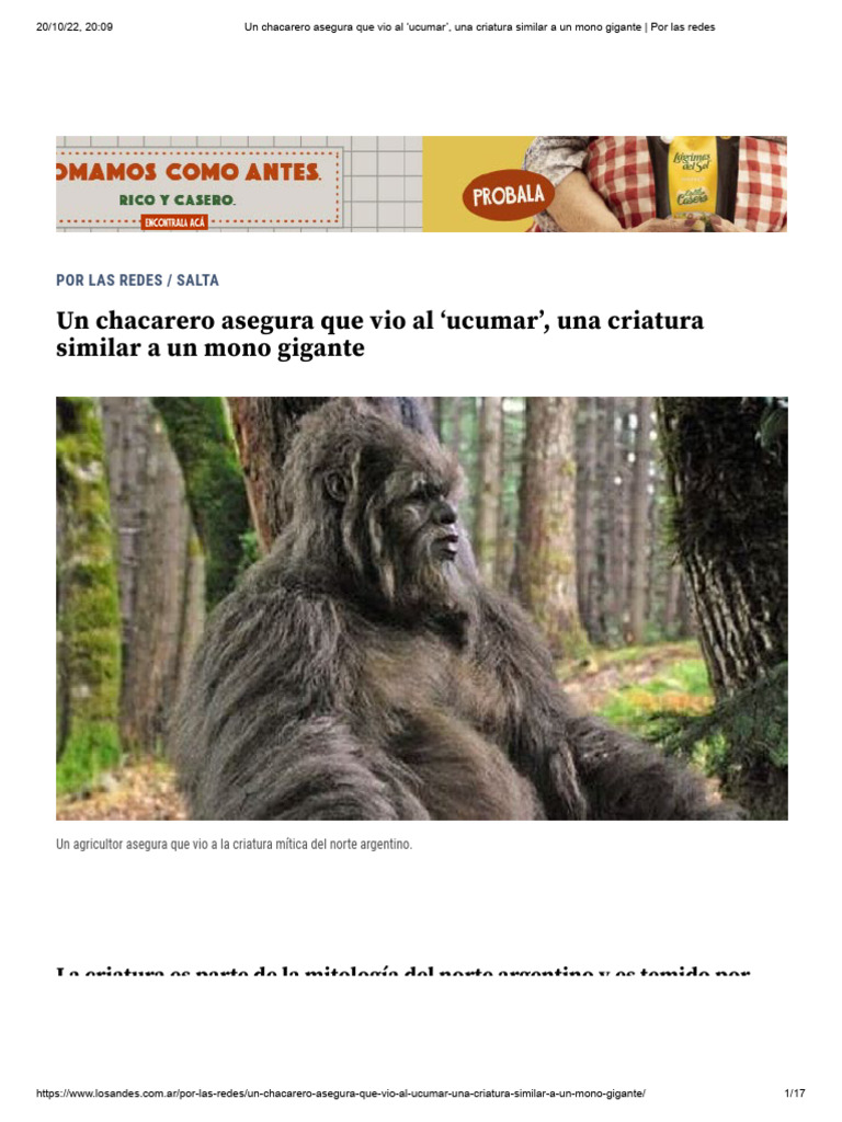 Un Chacarero Asegura Que Vio Al Ucumar', Una Criatura Similar A Un Mono ...