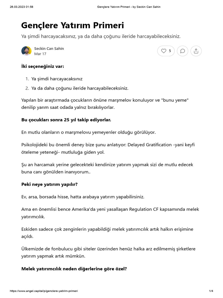 Gençlere Yatırım Primeri - by Seckin Can Sahin | PDF