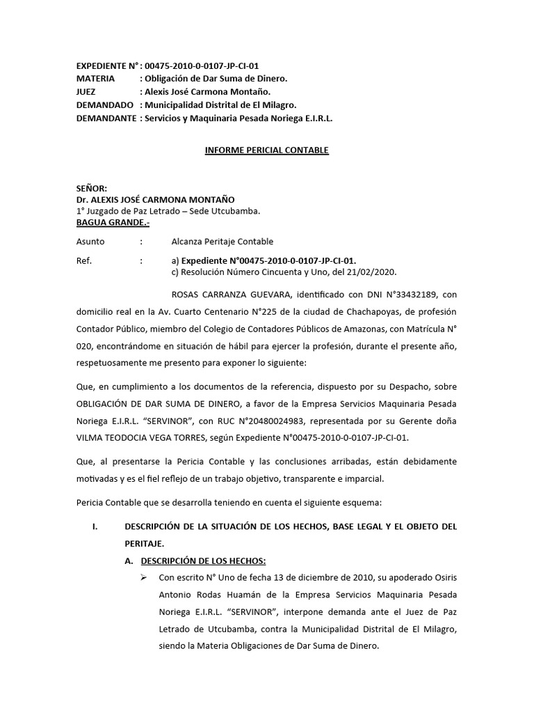 Informe Pericial Contable Vilma Oct 2020 | PDF | Contador | Contabilidad