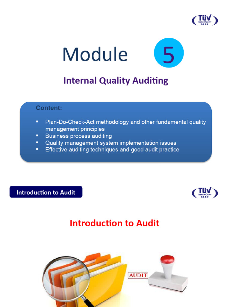 M5 Internal Audit - TUV | PDF | Audit | Business Process