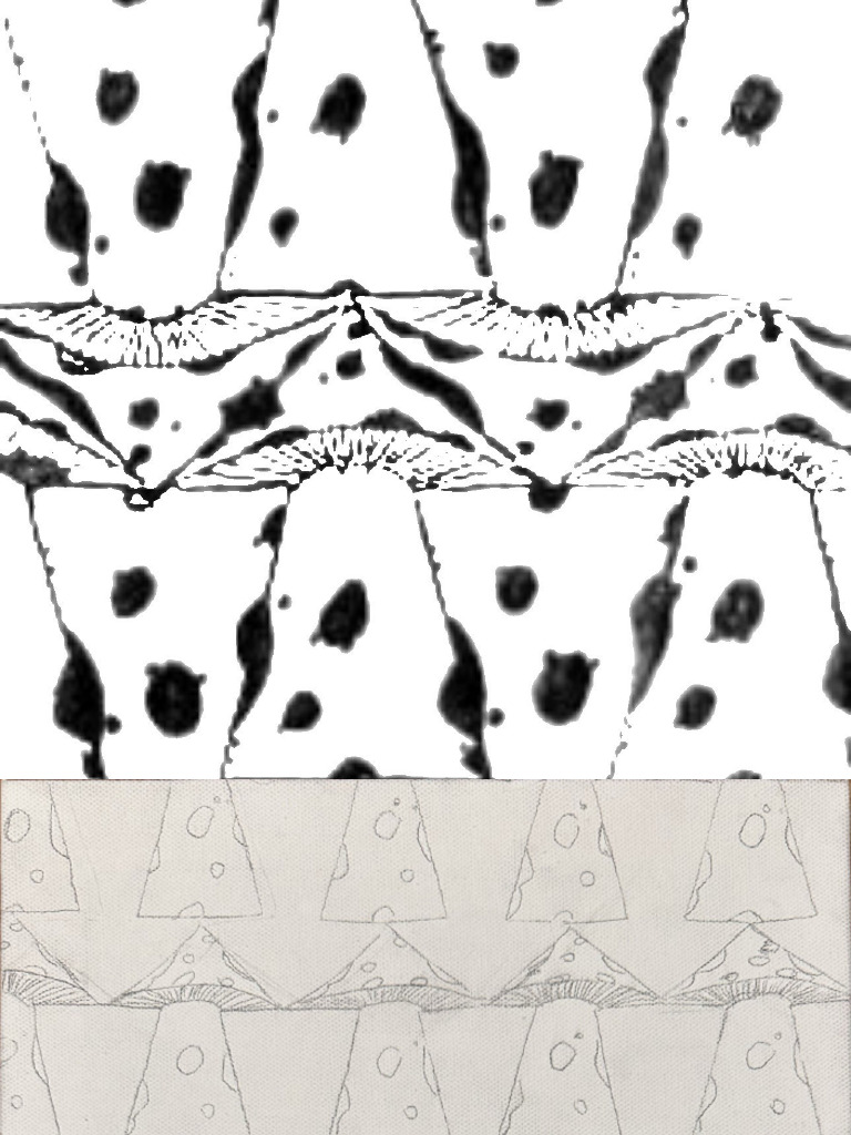 Math 1030 - Tessellations Project - Mennetta Darci Eccles | PDF