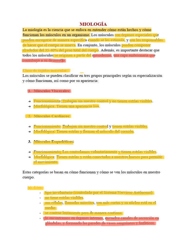 Semana 4 Miologia Anato 2 | PDF