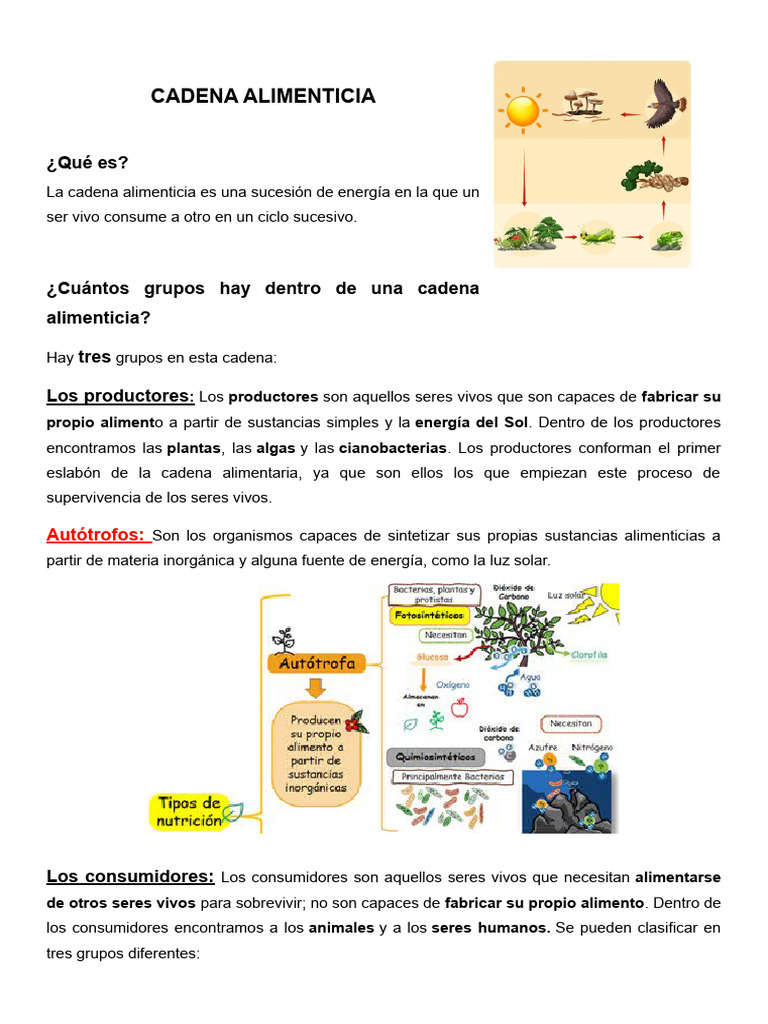 CADENA ALIMENTICIA Y TROFICA | PDF | Red alimentaria | Entorno natural