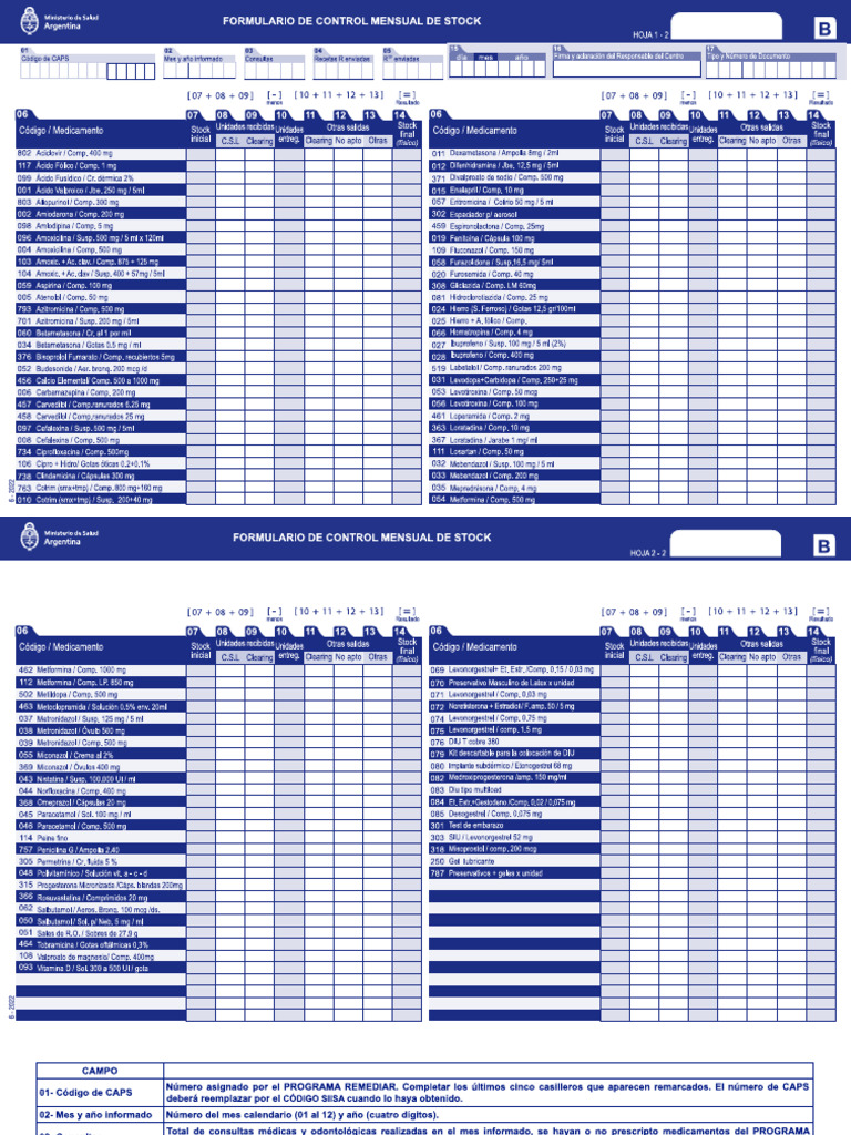 2022 Formulario B Control Mensual de Stock | PDF