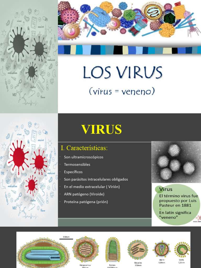 Virus | PDF | Ciencia y matemáticas