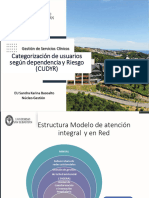 Categorización CUDYR: Riesgo y Dependencia | PDF | Enfermería | Hospital