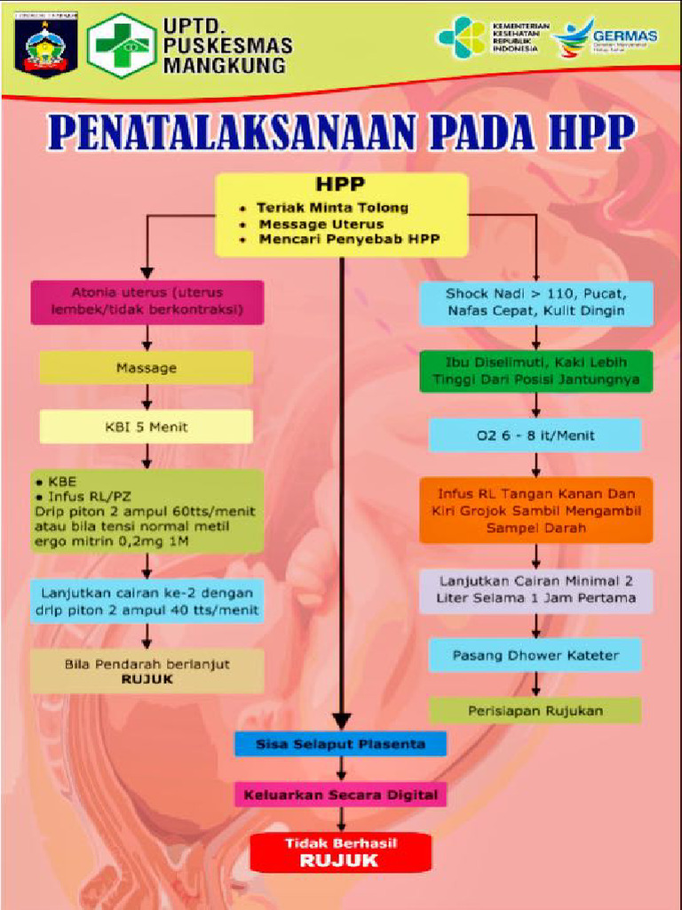 Penatalaksanaan HPP | PDF