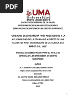 Escala de Aldrete | PDF